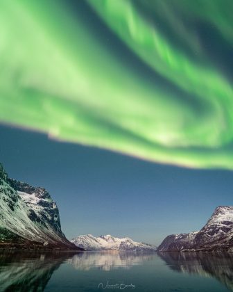 Discover the fabulous Kvaloya island near Tromso, one of the most ...