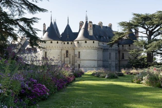 The 12 most BEAUTIFUL castles in the Loire Valley you must visit