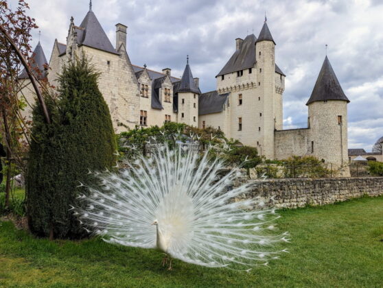 The 12 most BEAUTIFUL castles in the Loire Valley you must visit
