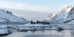 Discover the fabulous Kvaloya island near Tromso, one of the most ...