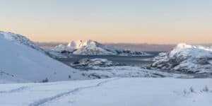 Discover the fabulous Kvaloya island near Tromso, one of the most ...